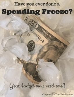 Save Your Budget with a Spending Freeze