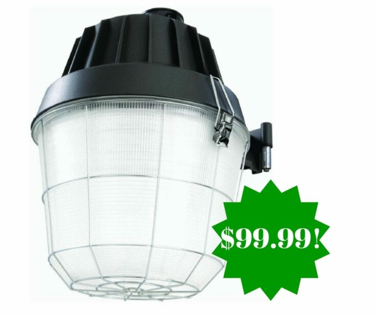 Cooper Lighting 100W Metal Halide Industrial Grade Security Light Only ...